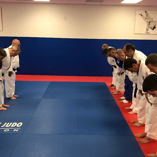 Judo classes for adults and children at A Kolychkine Judo Foundation